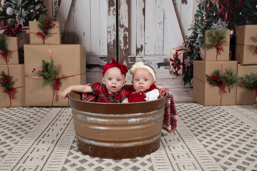 Brian - Christmas Portrait 12-04-2024 - Client Galleries - Amaduzzi ...